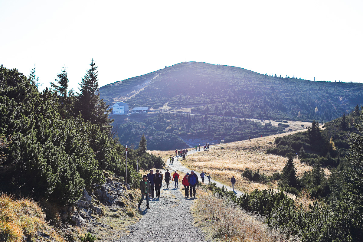 Wandern auf der Rax mit Kind (und Hund)