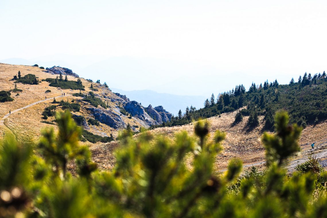 Wandern auf der Rax mit Kindern: Raxseilbahn, Ottohaus & Höllental-Aussicht