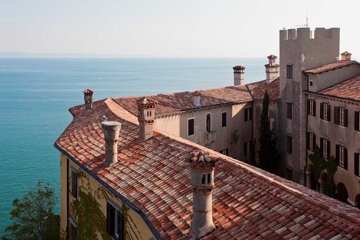 Triest Ausflugsziel: der Rilkeweg - eine wunderschöne Kurzwanderung mit Meerblick